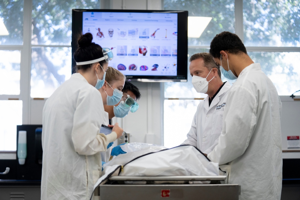 Anatomy lab provides inside look at the human body – Fresno State Today