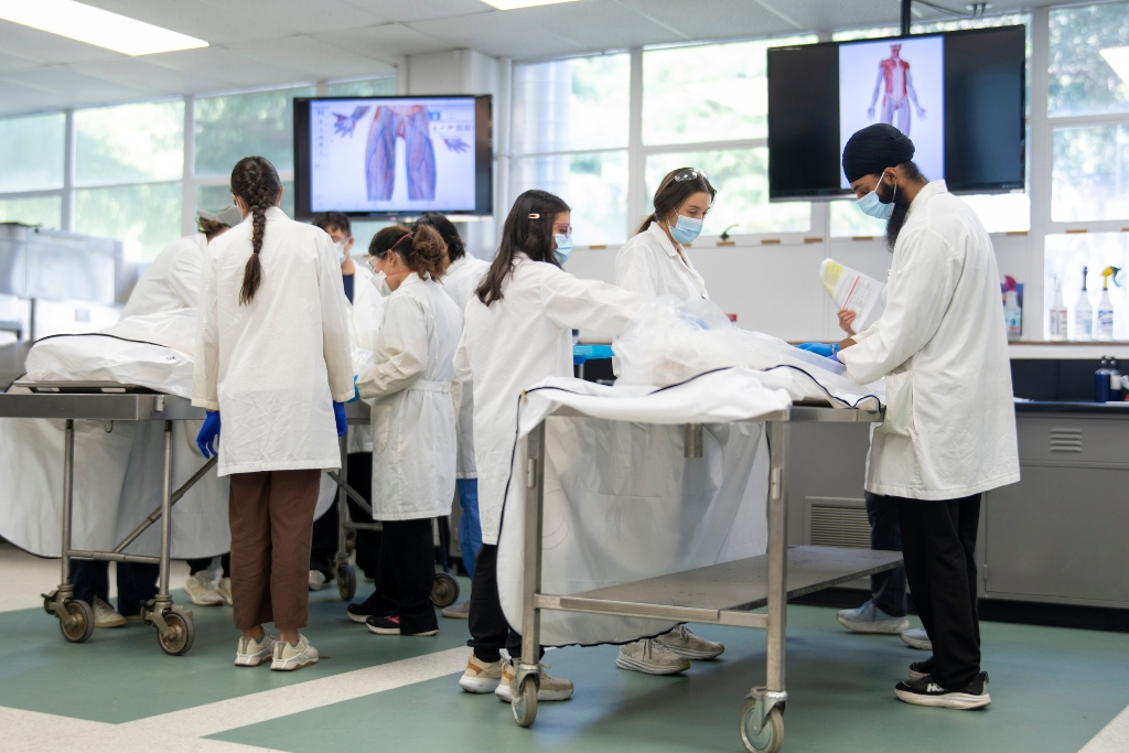Anatomy lab provides inside look at the human body – Fresno State Today