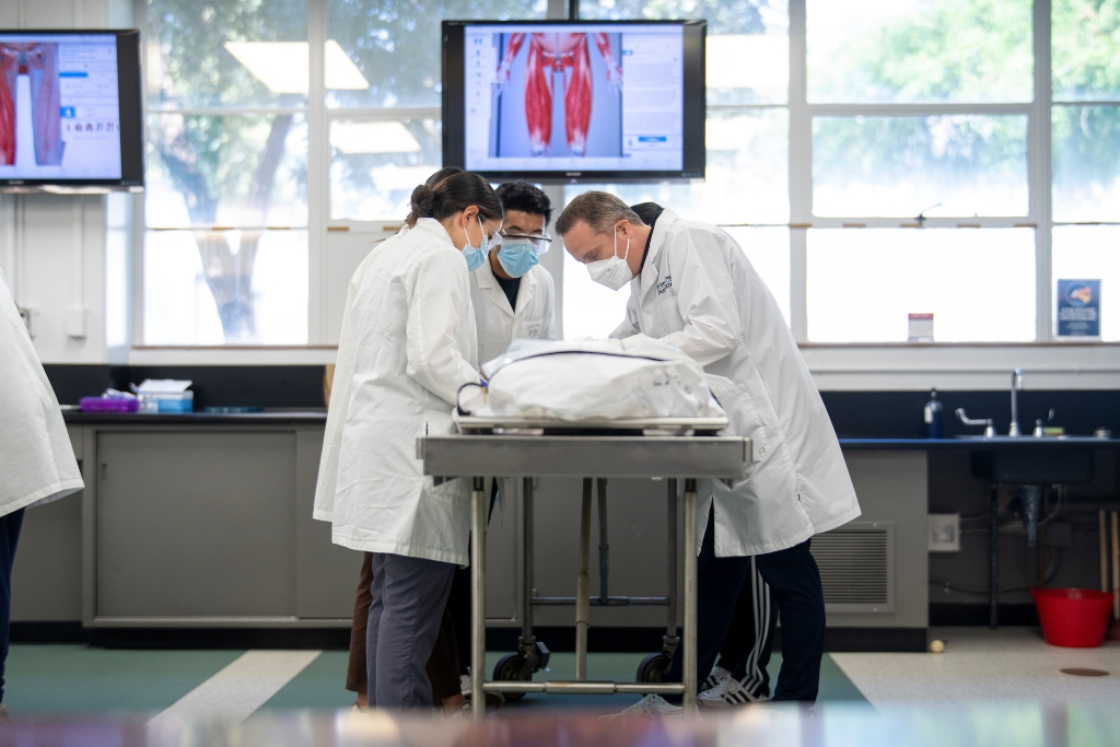 Anatomy lab provides inside look at the human body – Fresno State Today