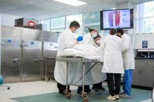 Anatomy lab provides inside look at the human body – Fresno State Today