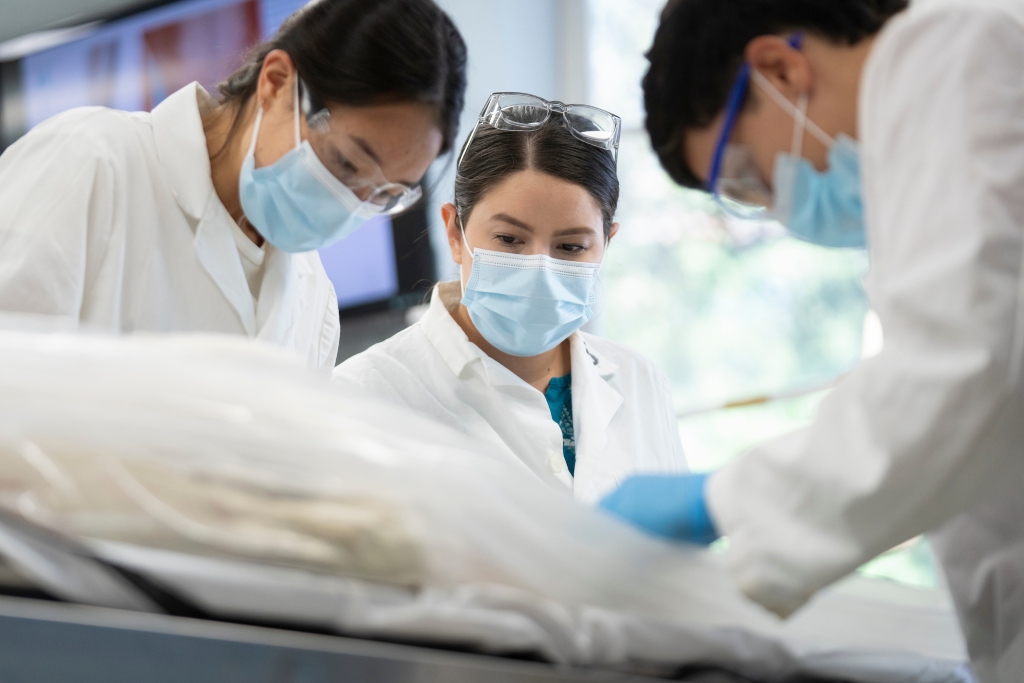 Anatomy lab provides inside look at the human body – Fresno State Today