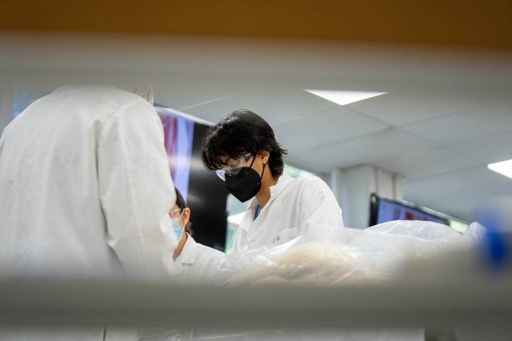 Anatomy lab provides inside look at the human body – Fresno State Today